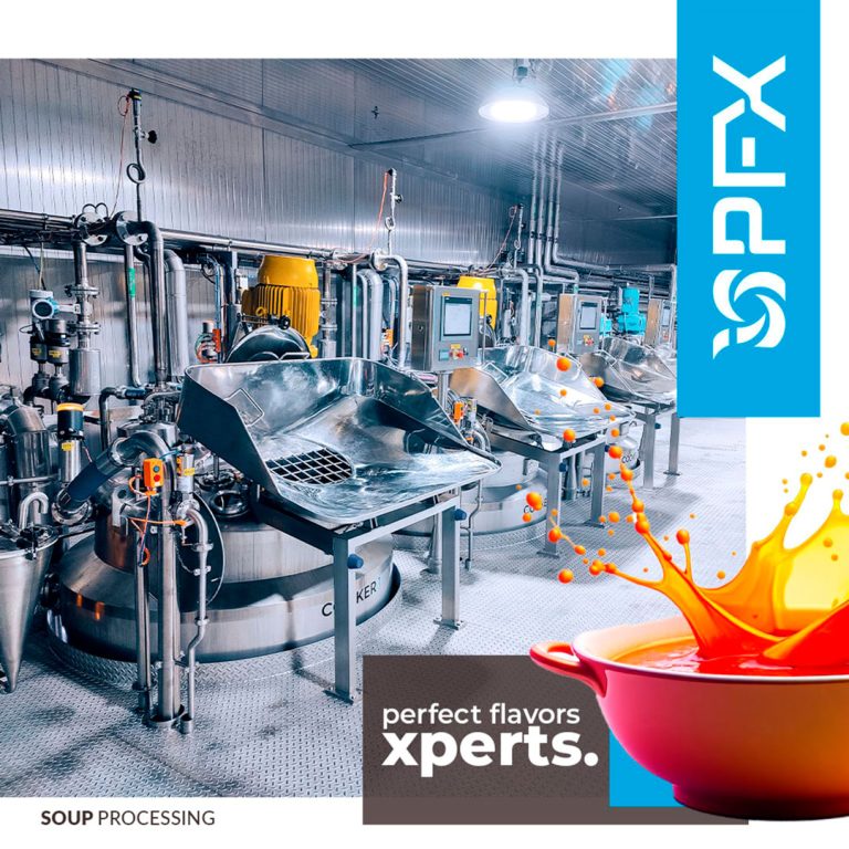 Soup Processing - Perfinox